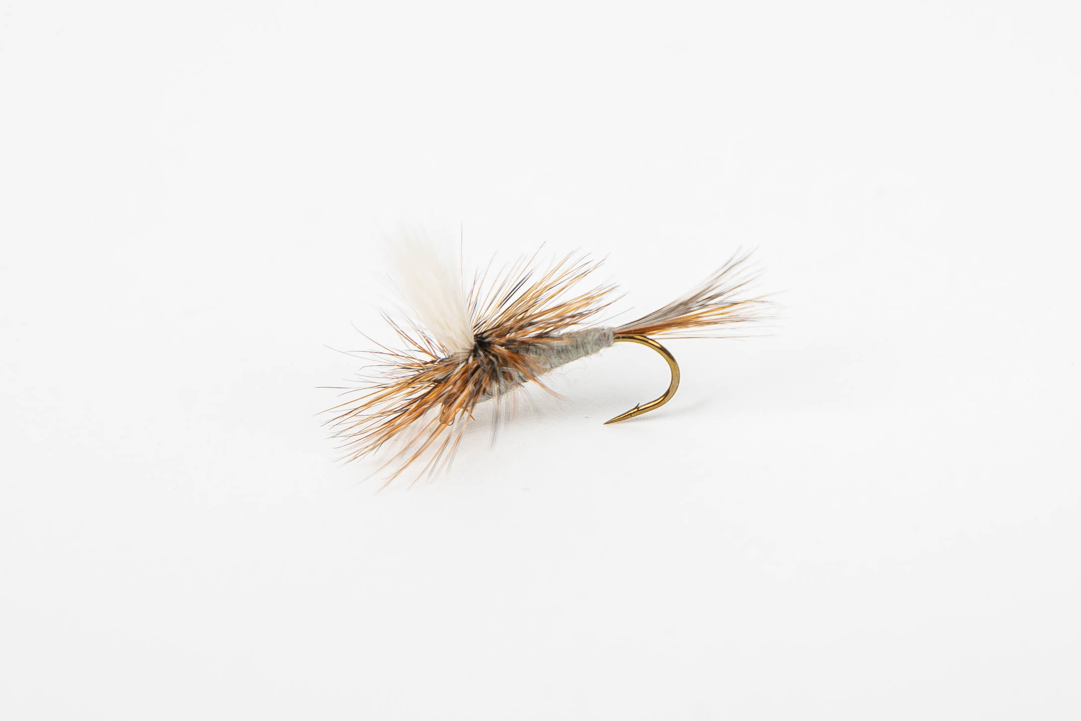 Entomology for Trout Fishermen Pt. 1: Midges | Aspen Outfitting Company